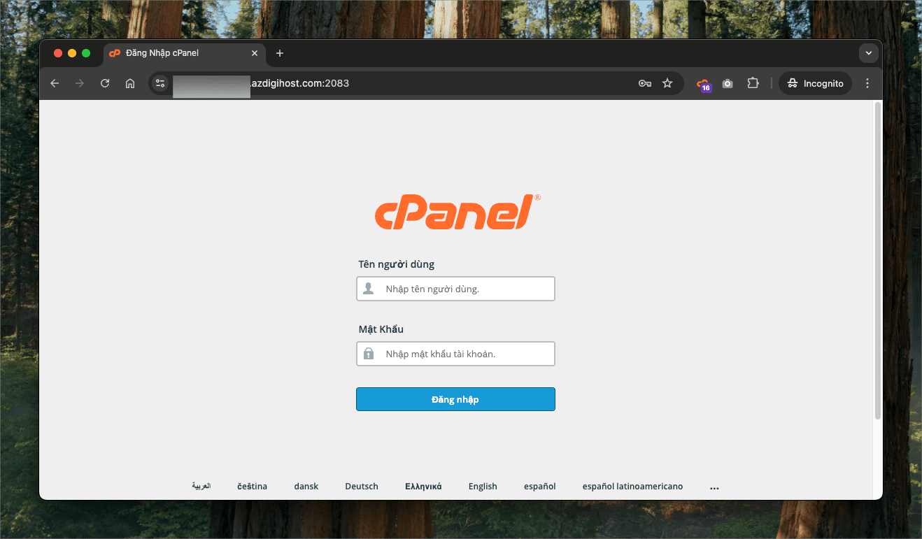 Hướng dẫn sửa DNS với tính năng Zone Editor trong cPanel - AZDIGI Blog