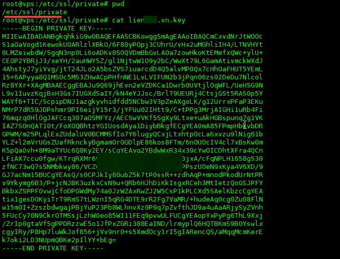 Hướng dẫn cài đặt SSL (trả phí) trên Odoo 13 - AZDIGI Blog
