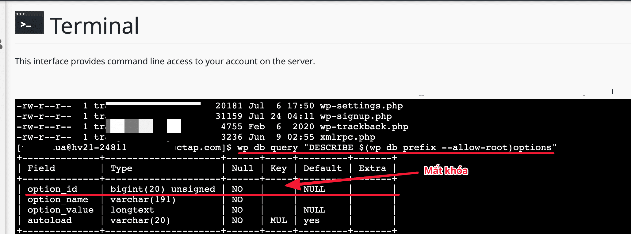 Fix Database Table Missing Primary Key error on WordPress with 2 steps