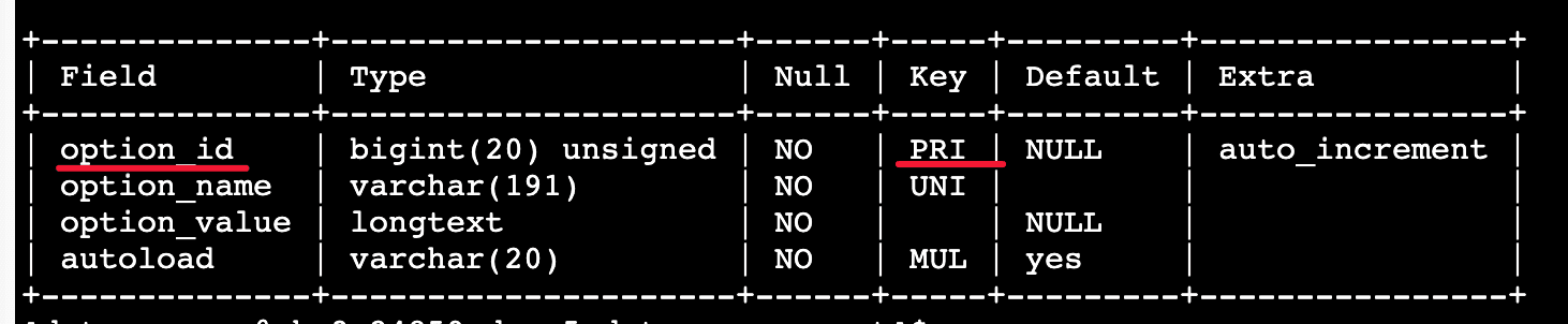 Fix Database Table Missing Primary Key error on WordPress with 2 steps