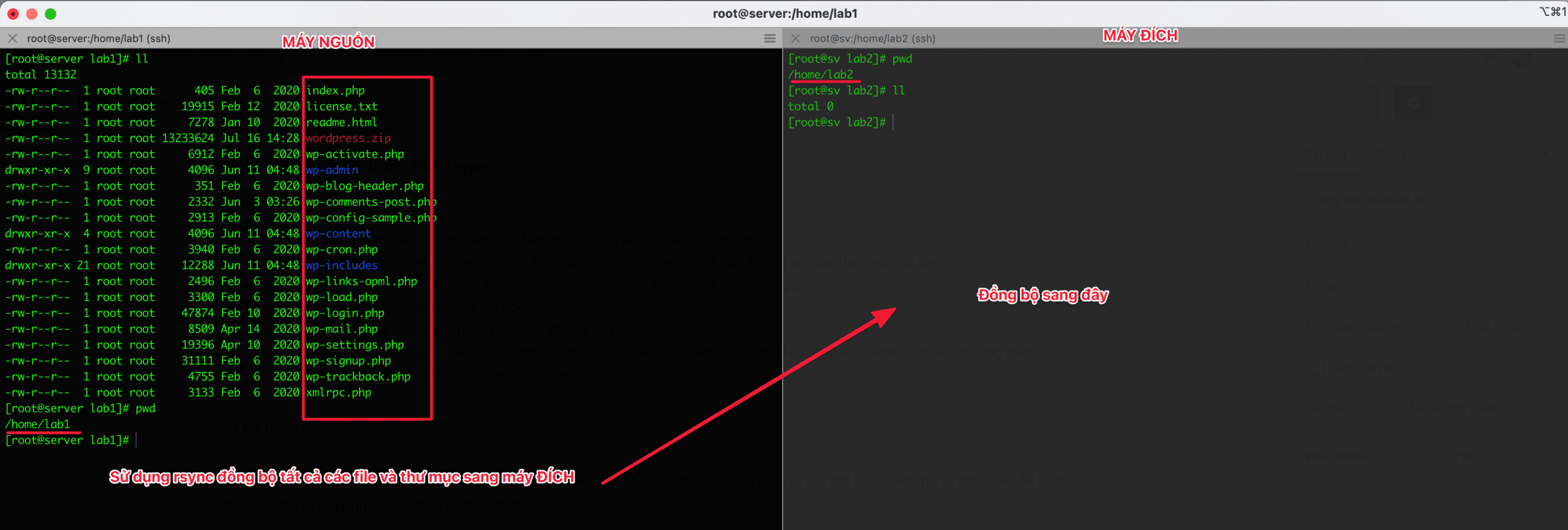 2 method How to use SCP and RSYNC to migrate data on Linux - AZDIGI Blog