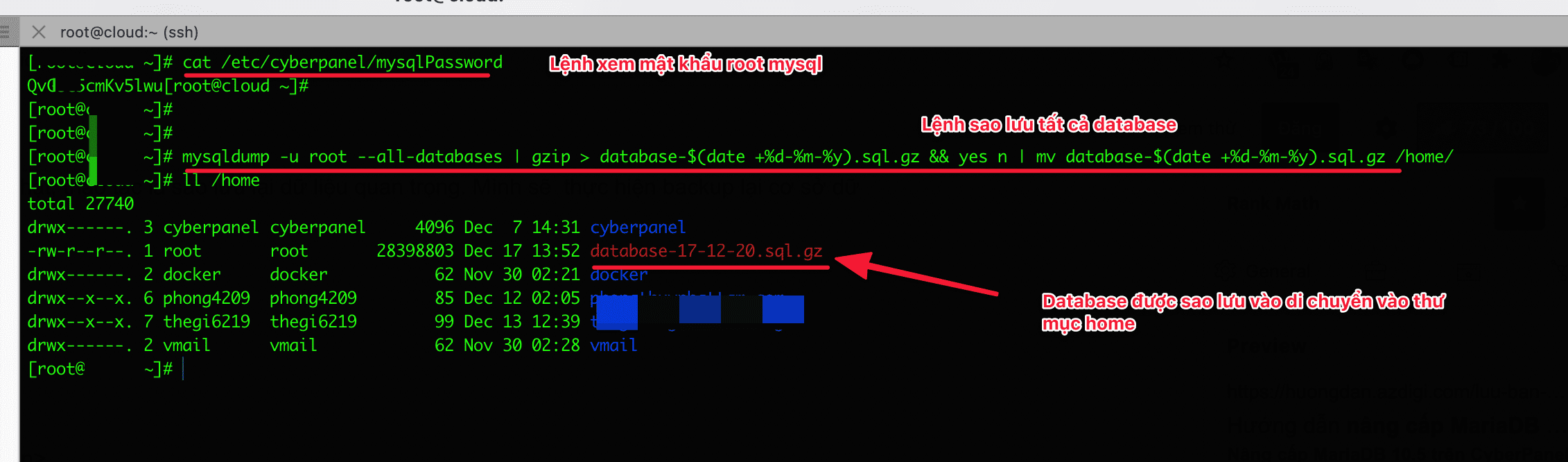 How to upgrade MariaDB 10.5 on CyberPanel with 3 steps
