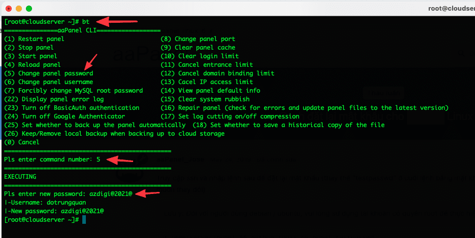 How to reset the aaPanel password with 2 methods