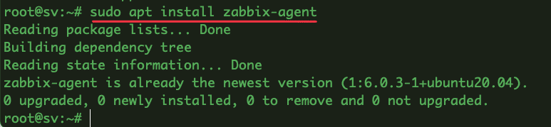 How to install Zabbix Agent on Ubuntu 20.04 - AZDIGI Blog