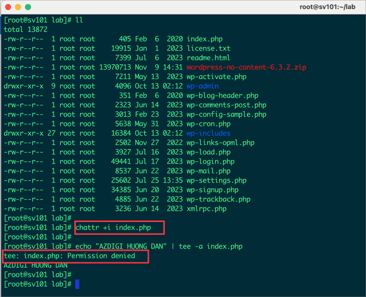 Hướng dẫn sử dụng lệnh chattr trong Linux - AZDIGI Blog
