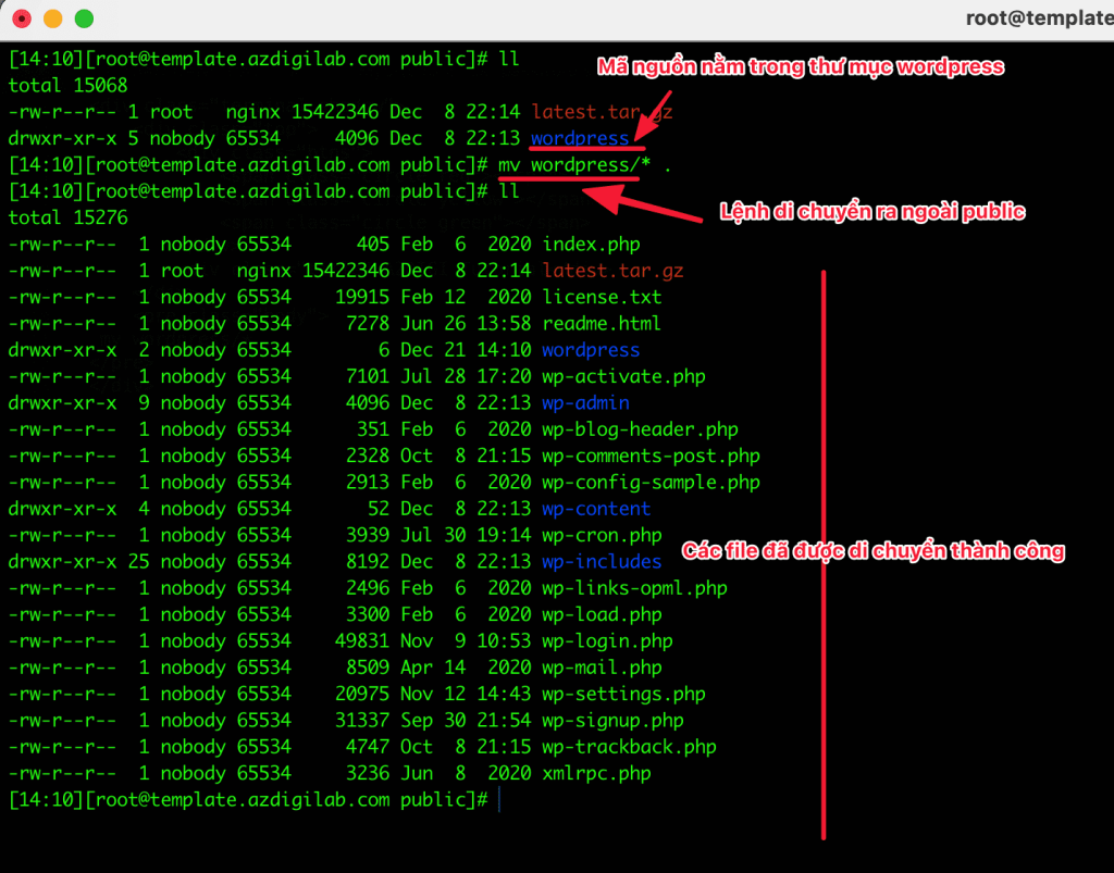 How to install WordPress on Centmin Mod for newbie