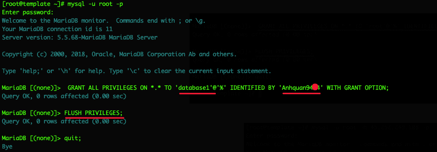 How to activate Remote SQL Server on Linux just 2 steps