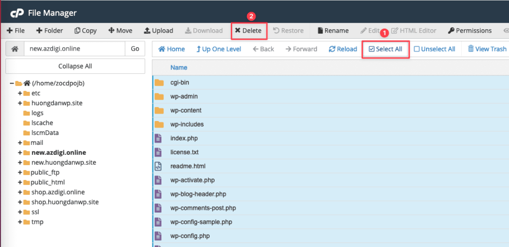 How to remove source code from hosting cPanel - AZDIGI Blog