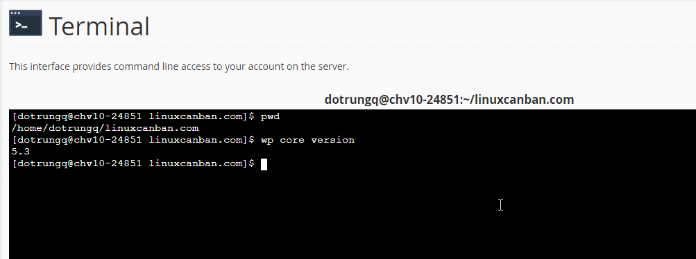 How to downgrade the WordPress version using WP CLI - AZDIGI Blog