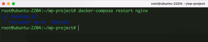 Cài đặt WordPress với Docker Compose, Nginx, Apache và SSL - AZDIGI Blog