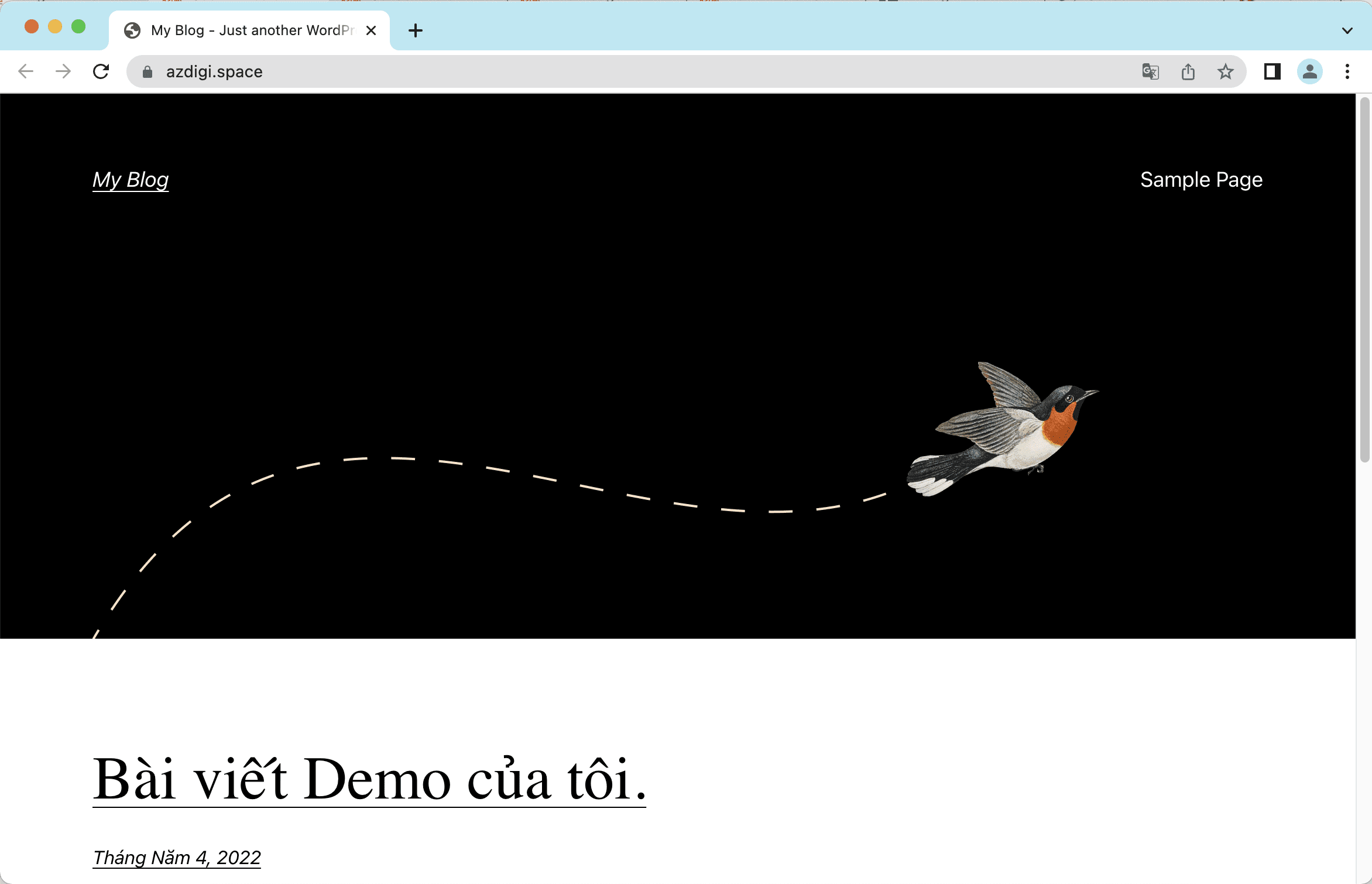 Cài đặt WordPress với Docker Compose, Nginx, Apache và SSL - AZDIGI Blog