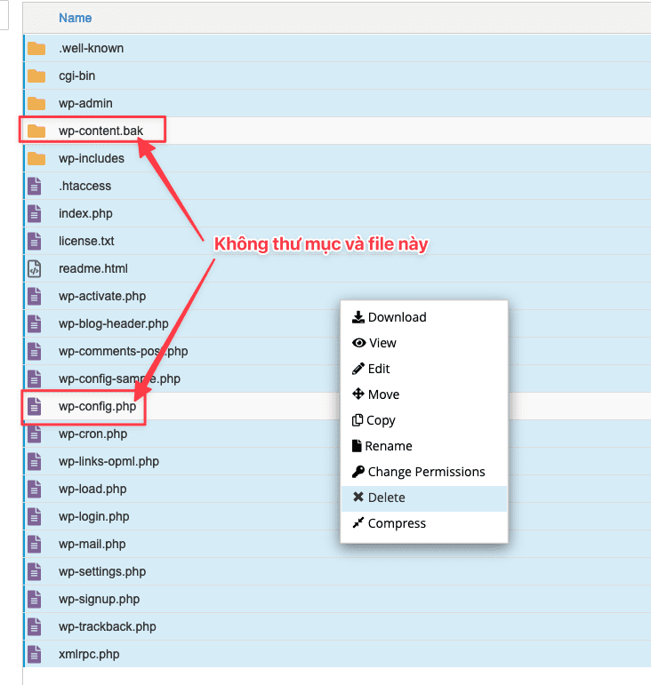 Lỗi 500 Internal Server Error trên WordPress và cách xử lý